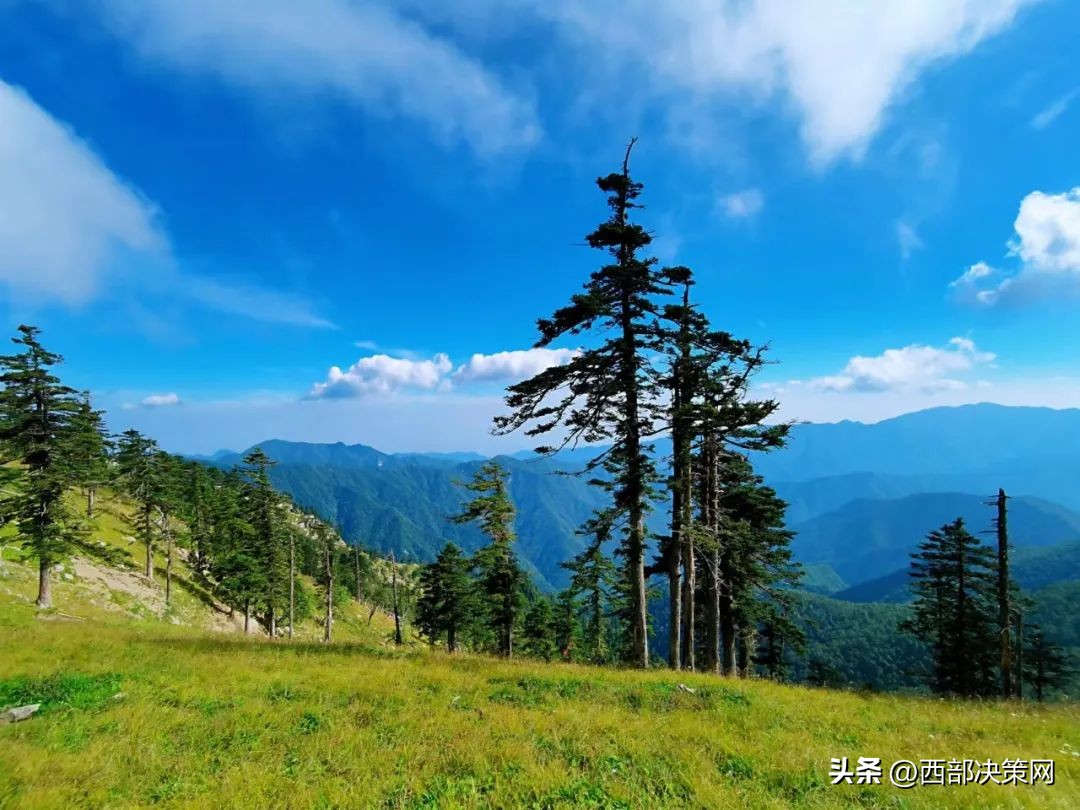 Ecological Spatial Economic Analysis - iNEWS