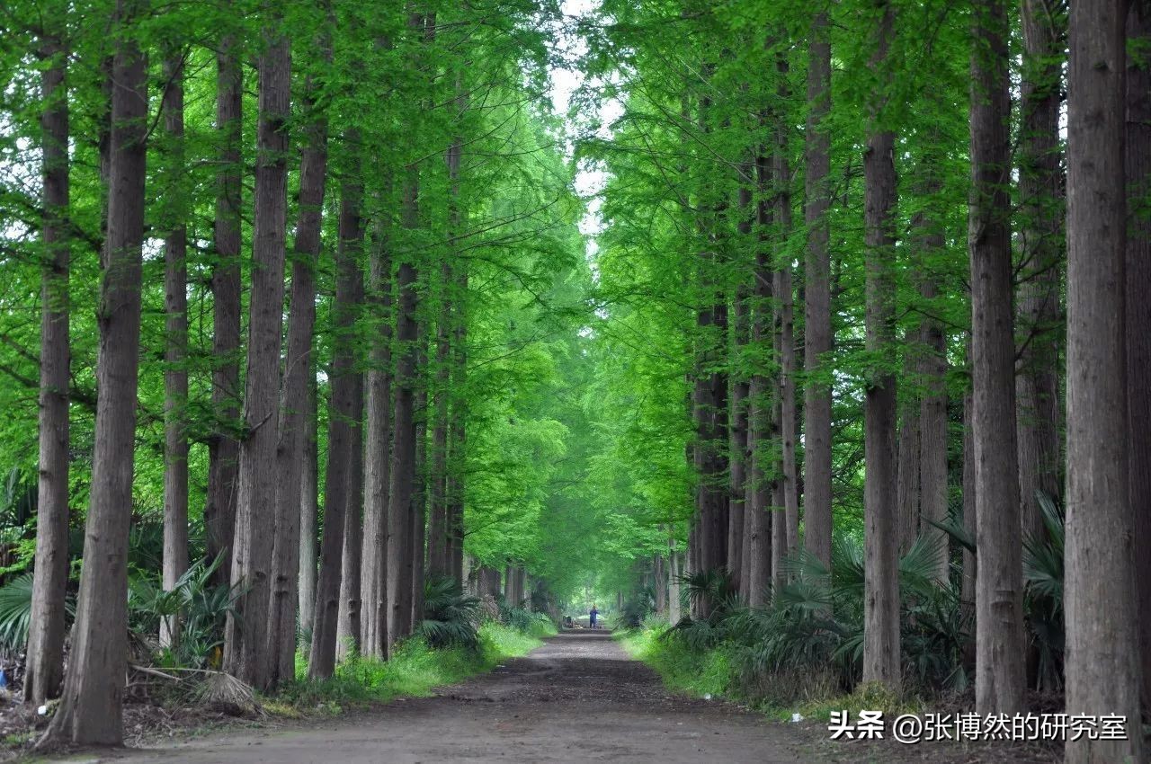 Dialogue and Symbiosis between Nature and Man-made: Blending and ...