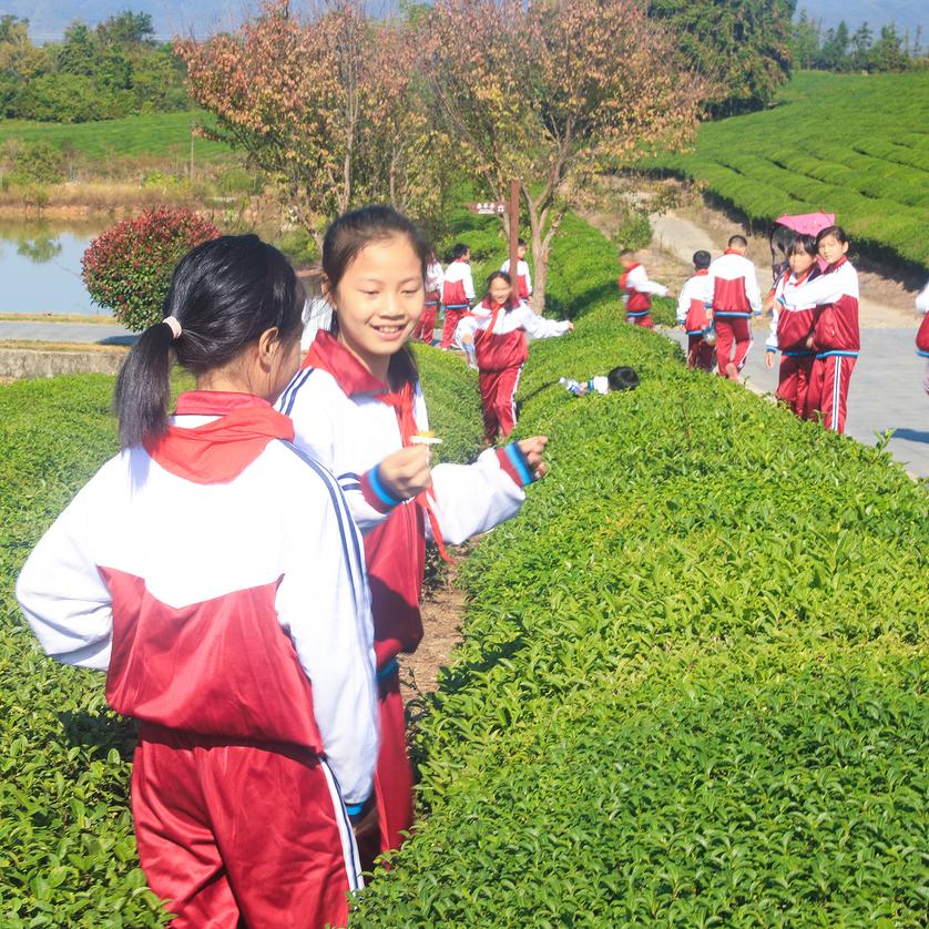 Gaoling China Village kicks off winter tourism boom - iMedia