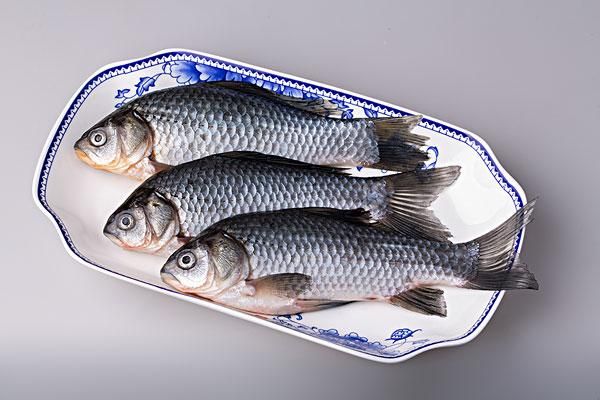 Spring is here, let's have a piece of the first fresh food in the river ...