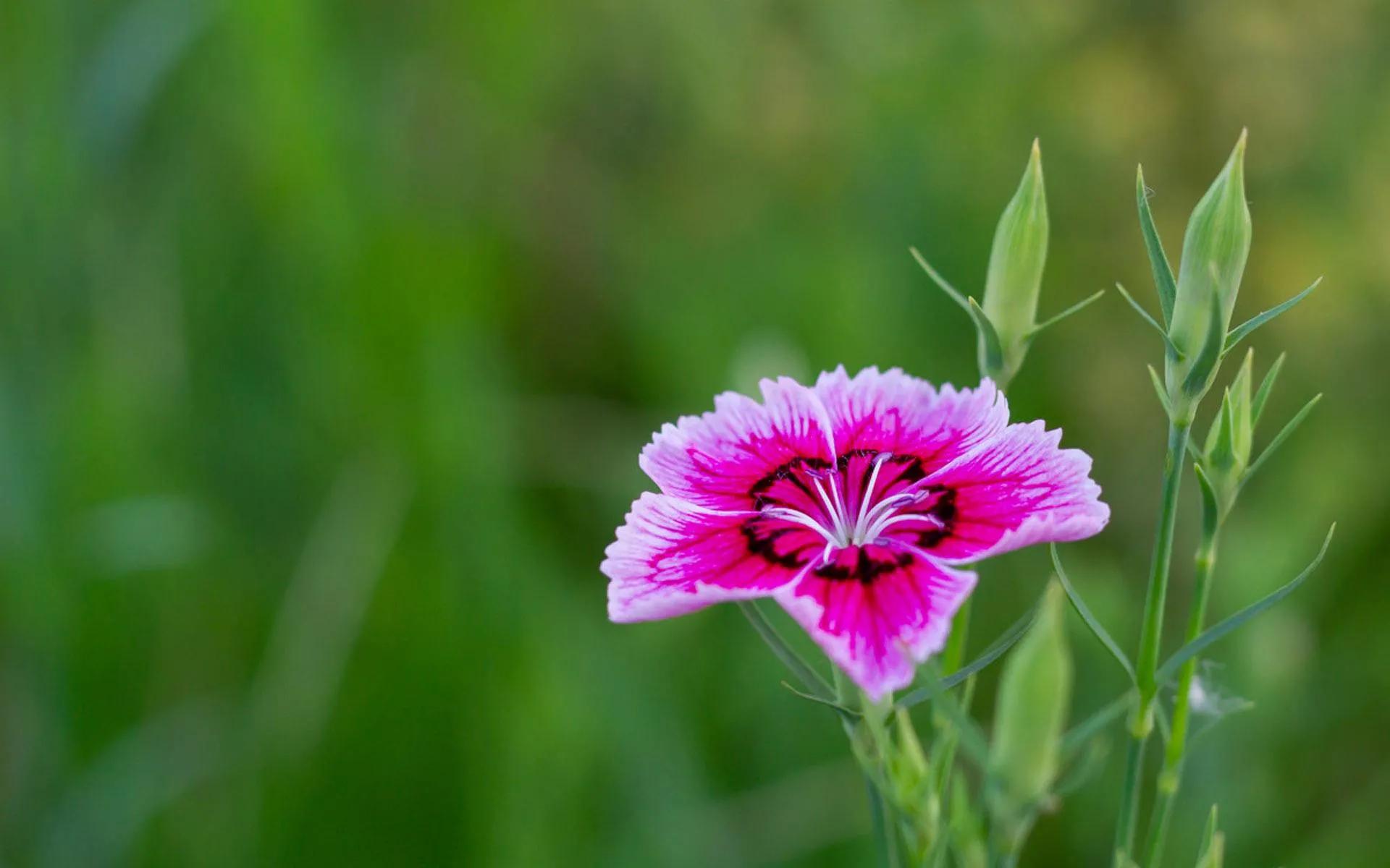 Taoism follows nature and harmony between man and nature——Thinking ...