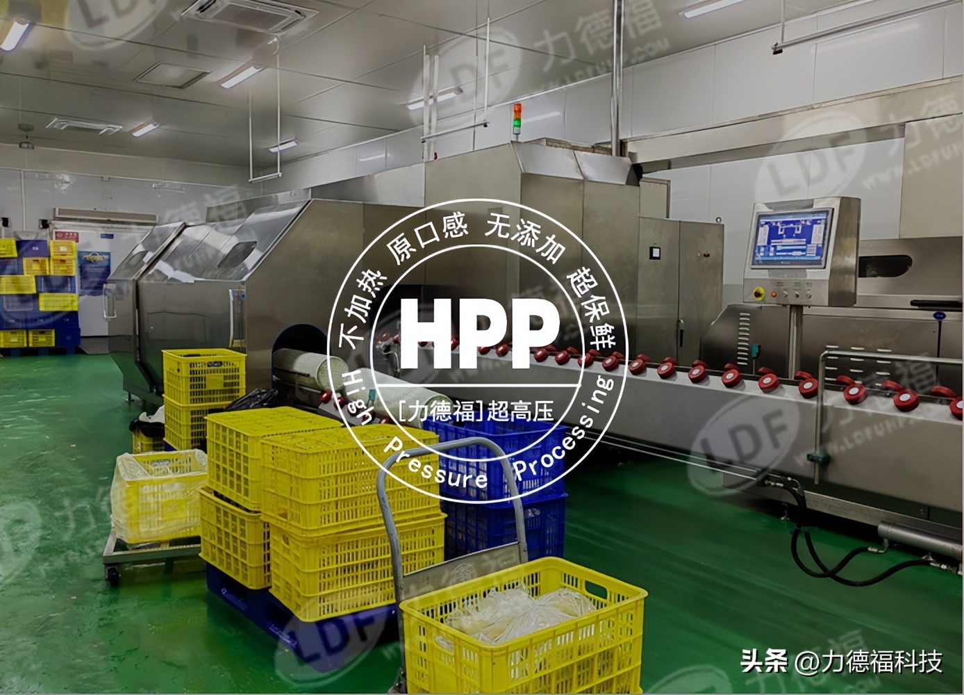 Lipford HPP innovative technology to meet consumers' upgrading needs ...