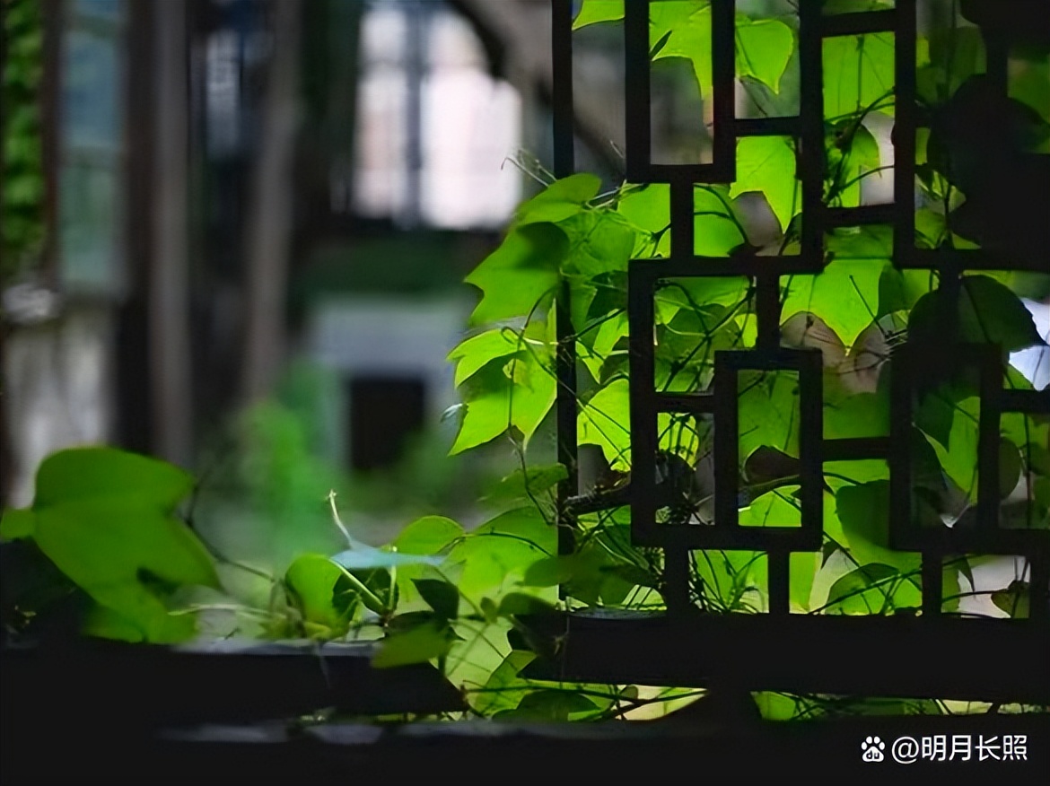 What kind of mood does Cao Zhi express in "Seven-step Poem"?Ashamed to ...