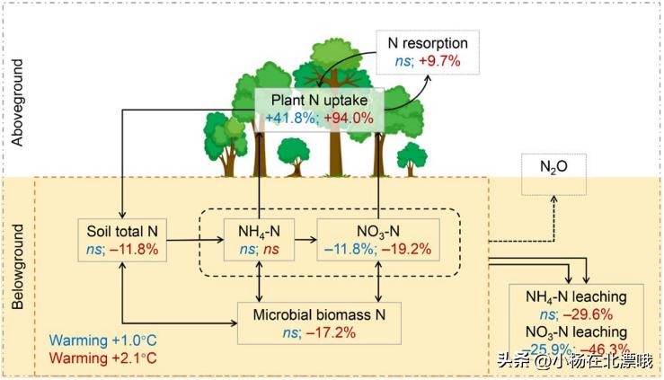 Effects of Climate Warming on Nitrogen Cycle in Tropical Forest Ecosystems - iNEWS