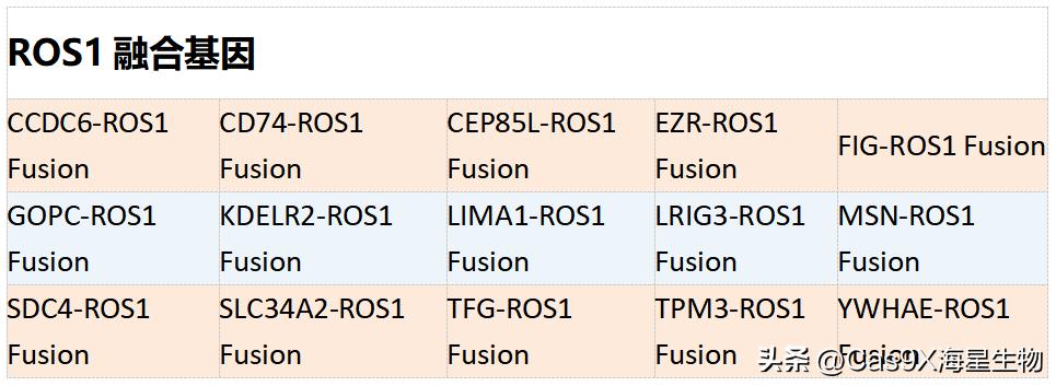 HyCyte® Fusion Gene Assay and RNA Standards - iMedia