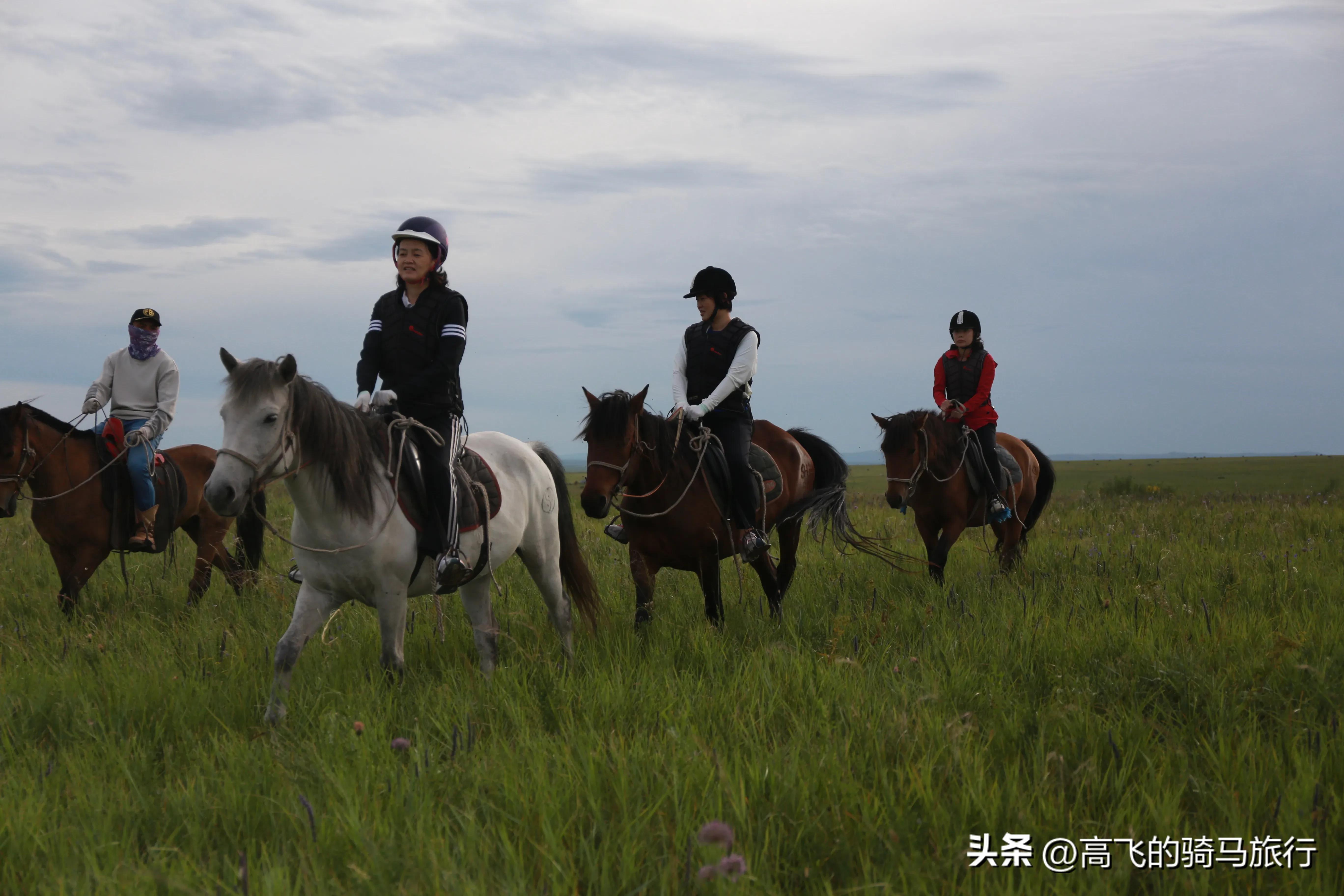 Travel on horseback to experience the joy of equestrianism - iNEWS