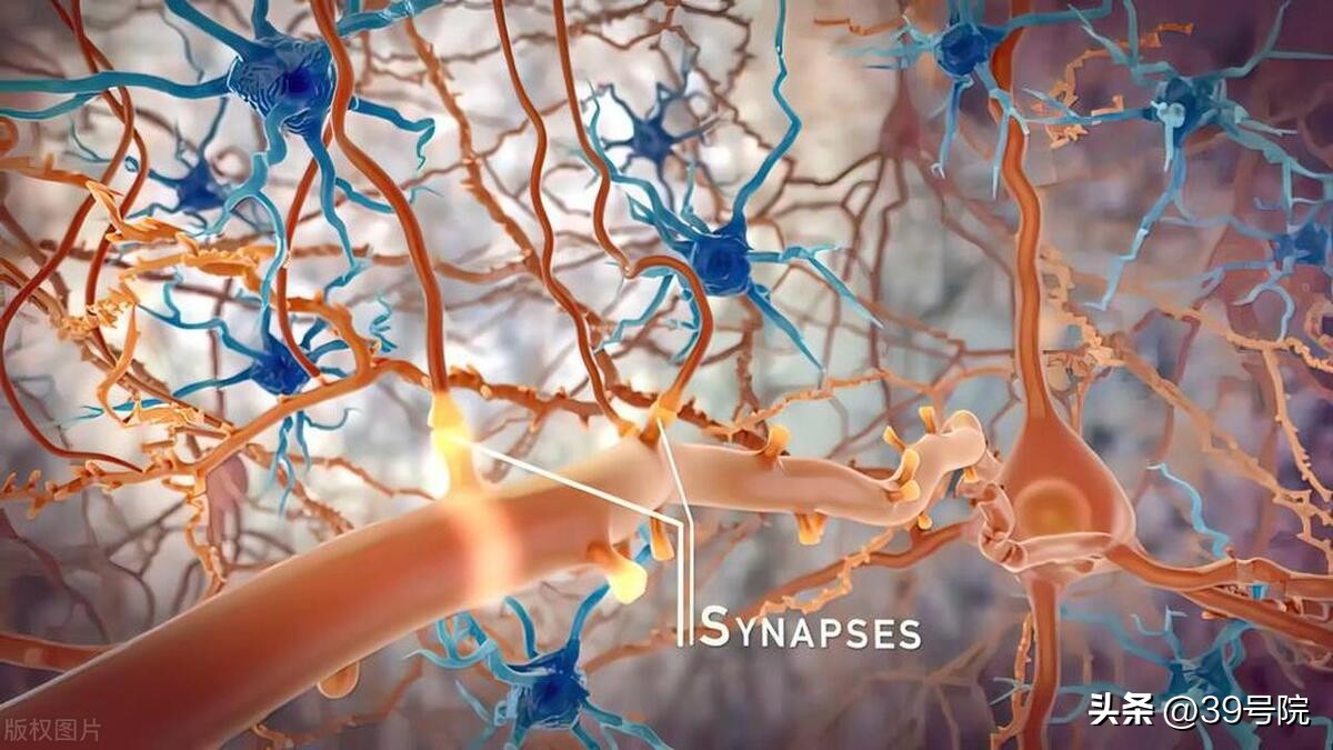 20230610-IBM's latest computing device is the TrueNorth neuron chip - iNEWS