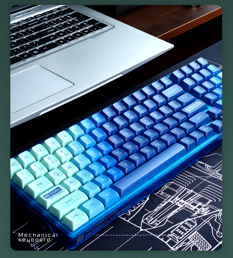 Plants, Food and Keyboards - iNEWS