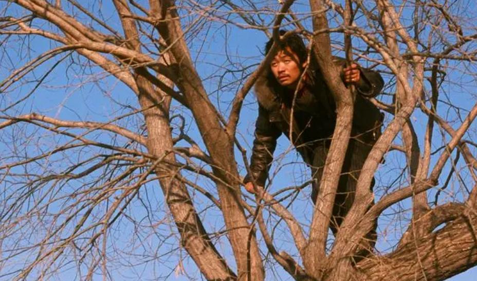 "Hello! Mr. Tree: A Soul Torn Between Tradition and Modernity - iNEWS