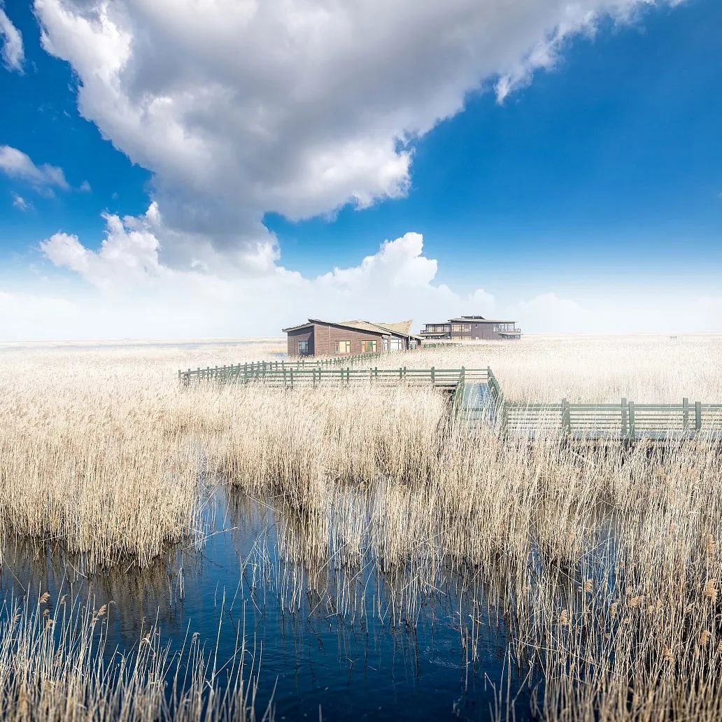 Chongming summer vacation super complete strategy, reading this article ...