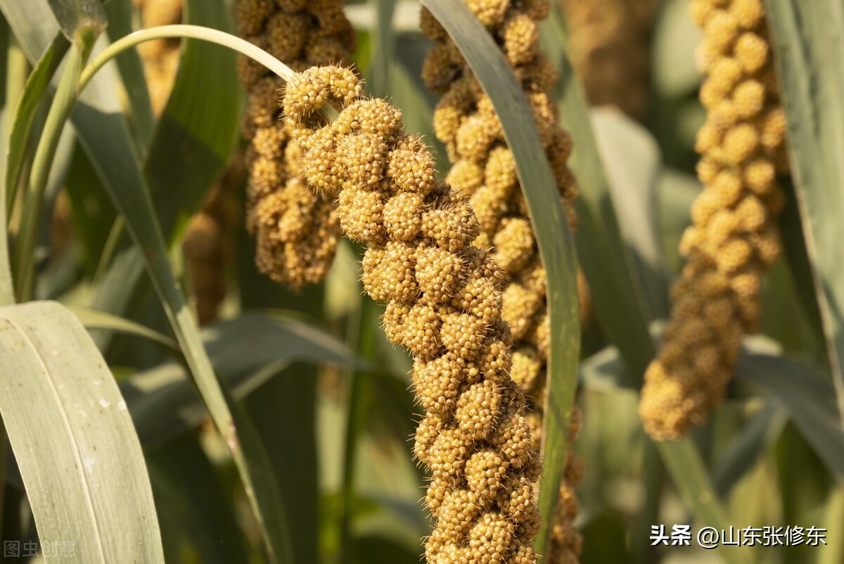 Force yourself: go straight, turn around - iNEWS