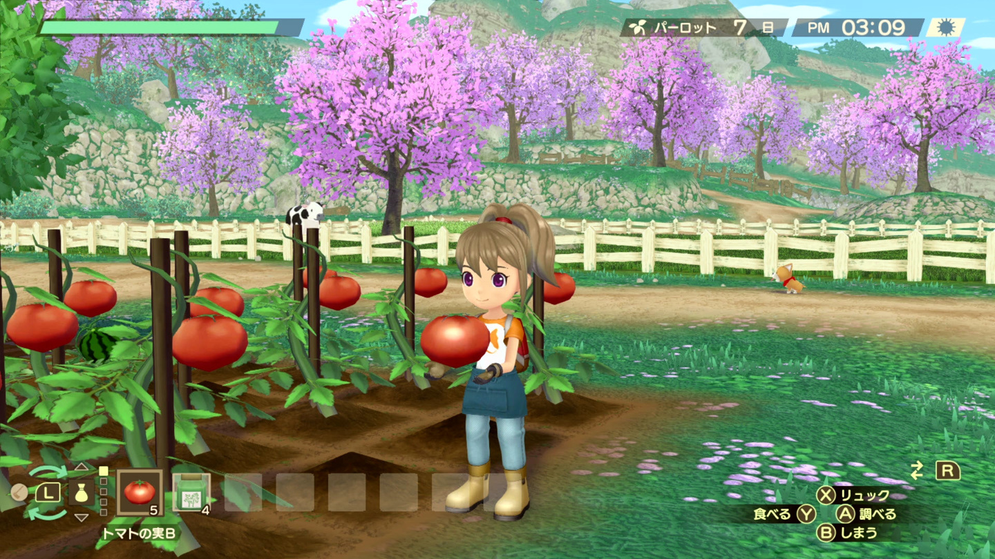 Sega's Ranch Story Welcome!Life is Beautiful" summer 2023 release - iNEWS