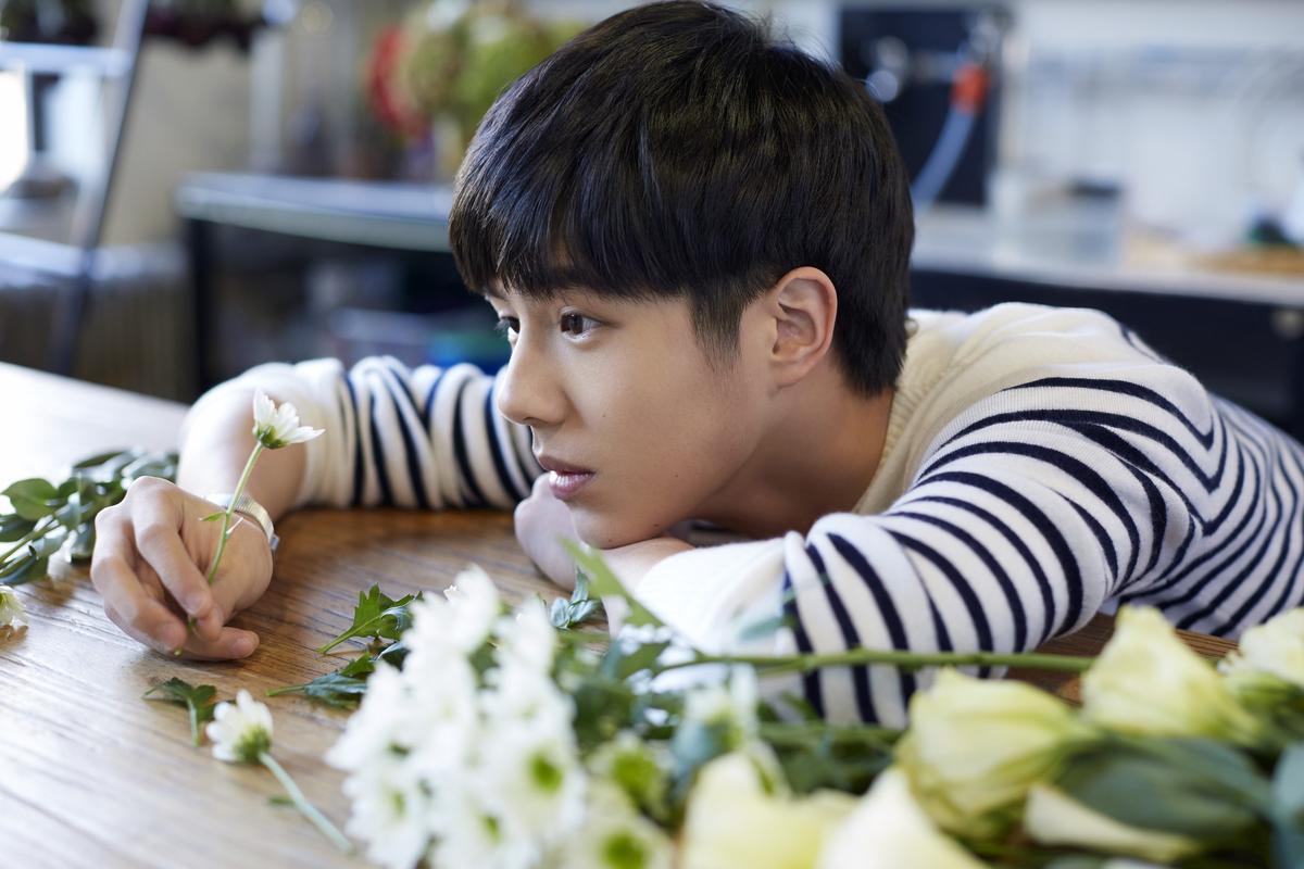 Entertainment Comments: Xiao Zhan, Di Lieba, Zhao Liying, Liu Haoran, Zhang Xincheng, Bailu - iMedia