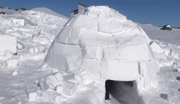 Why do the Inuit take off their clothes and sleep in an igloo when they ...
