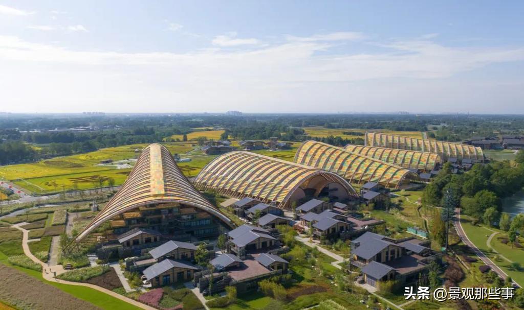 Explore ahead! Uncover the development path of China's future wooden ...