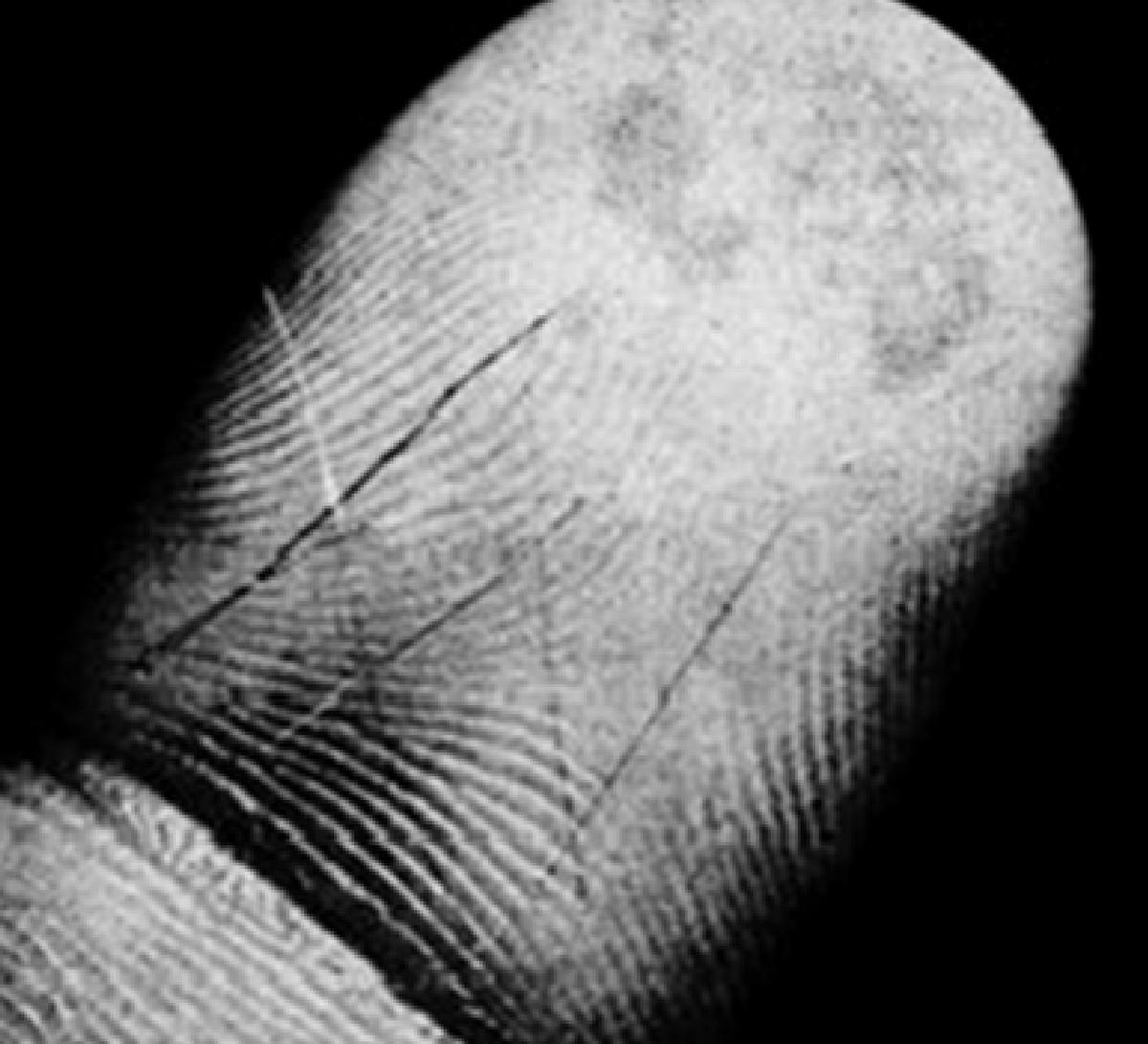 Crazy Space Needle: Why the U.S. sent 430 million space needles into ...