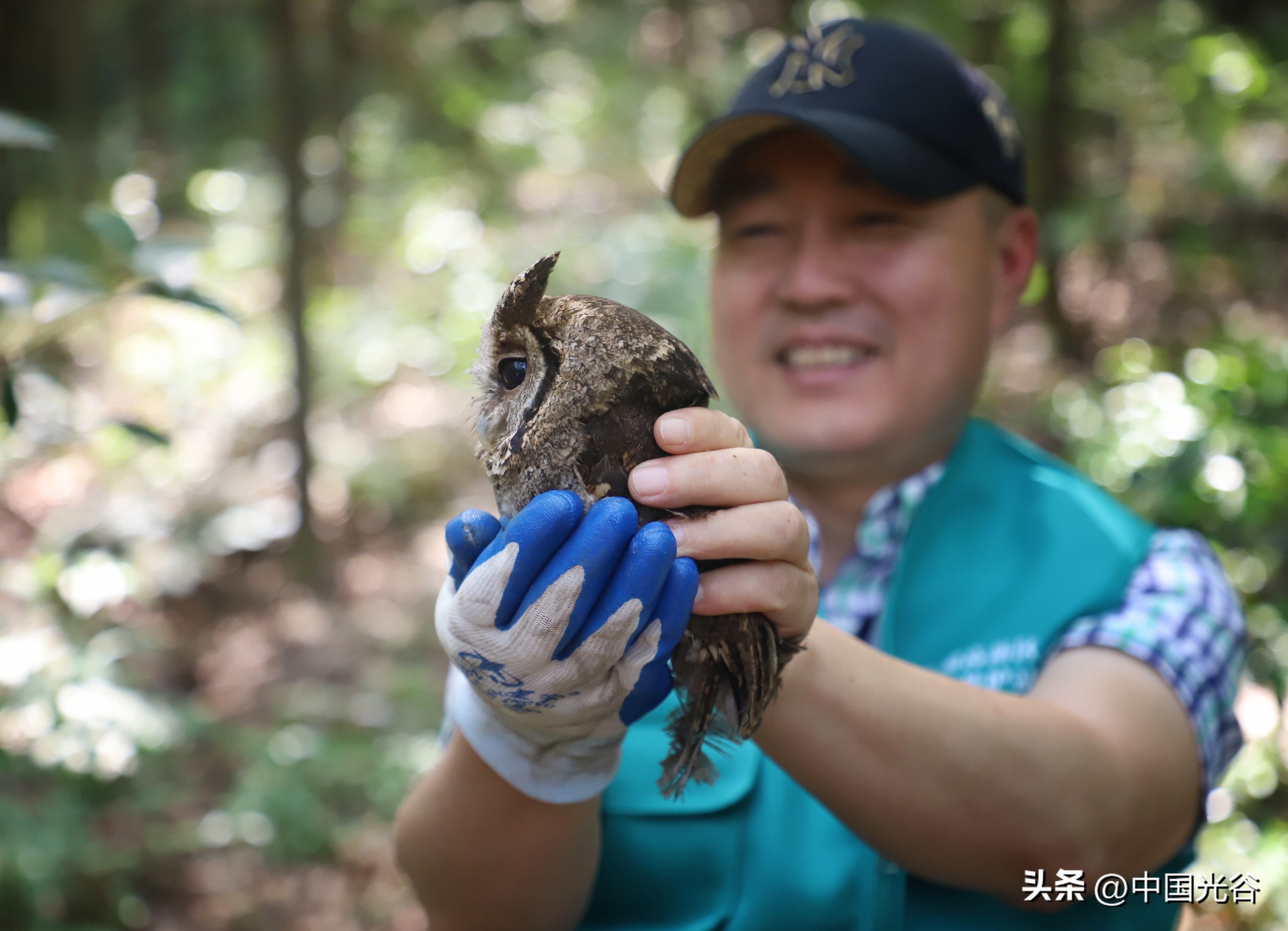 Wuhan Jiufeng Forest Zoo launches "Earth Day" wild animal release ...