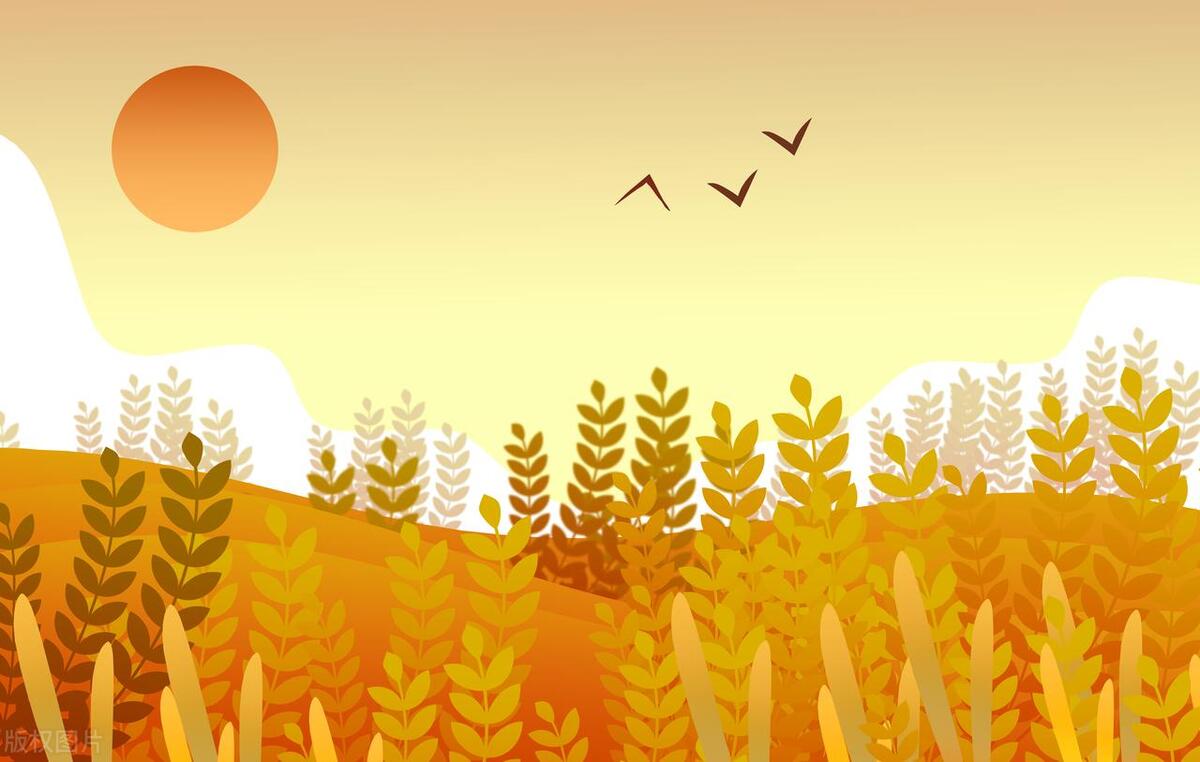 Busy is the best state of life - iNEWS