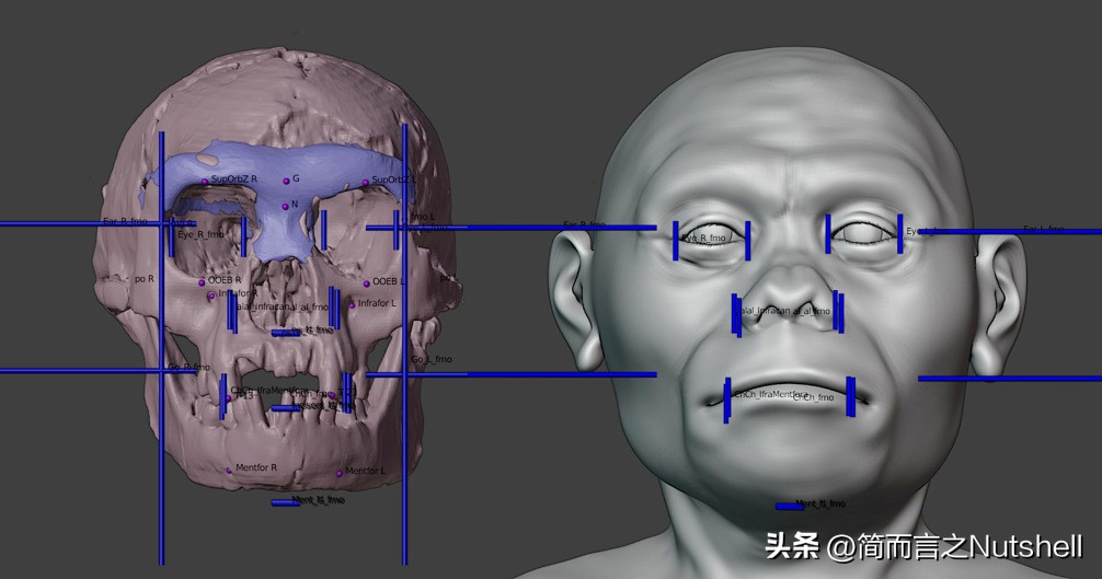 Look at the Face of Extinct, Human Relative 'The Hobbit' - iNEWS