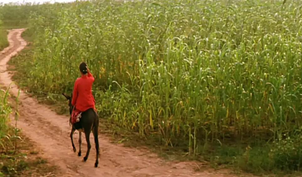 Through the movie "Red Sorghum", see the folk culture in Zhang Yimou's ...