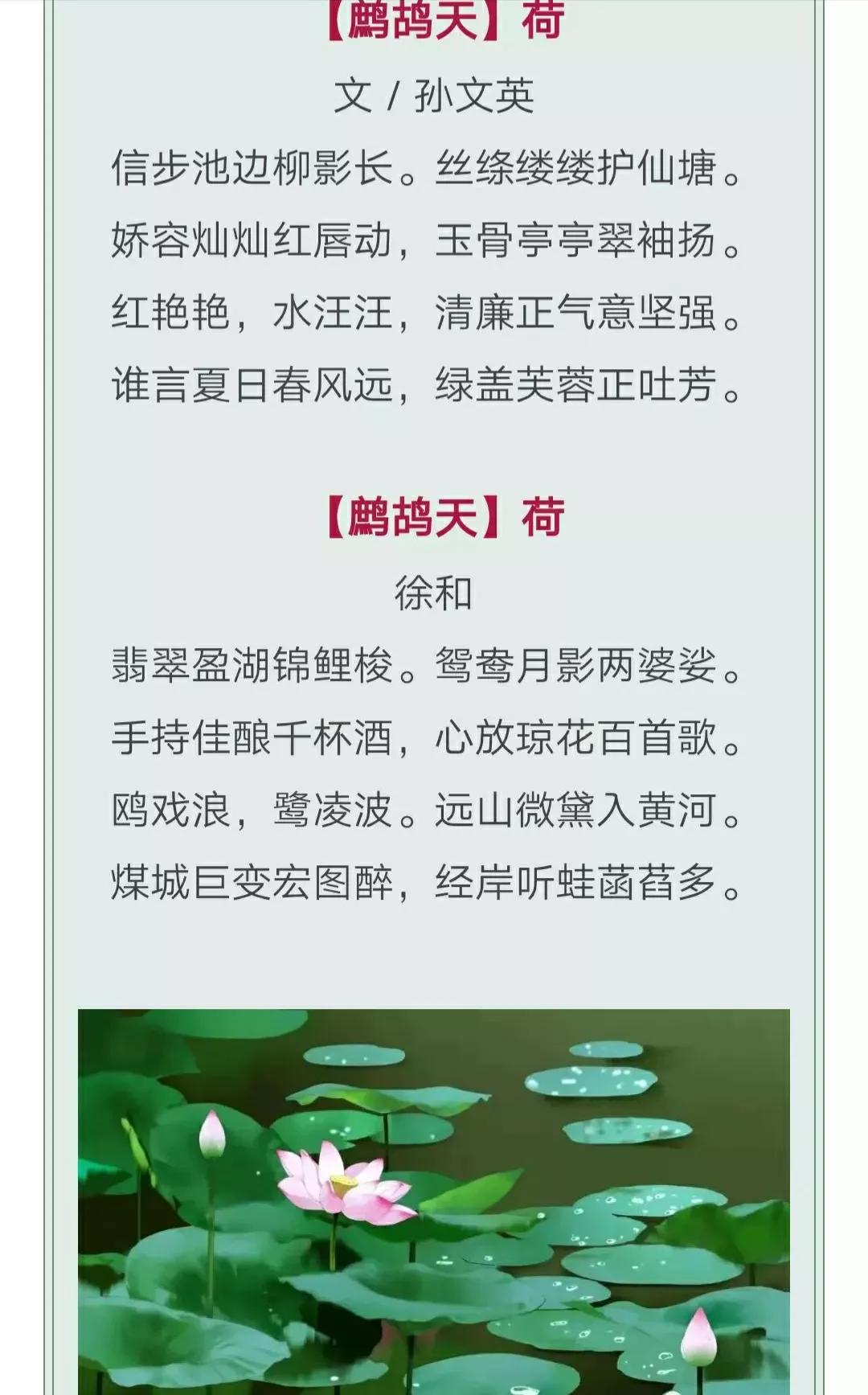 "Fengya Wenxuan" Poetry Friends of the Sea of Poetry Sailing (1 ...
