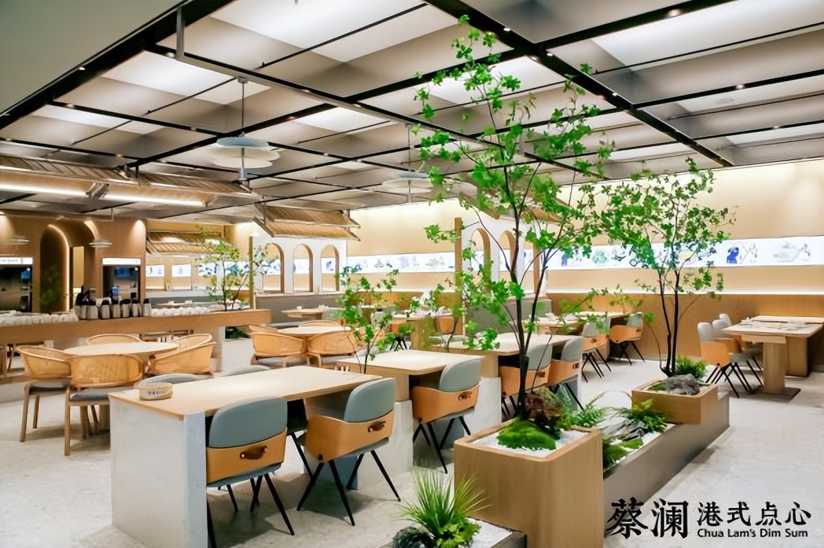 The dream of "God of Cookery": Cai Lan's Hong Kong-style dim sum has ...