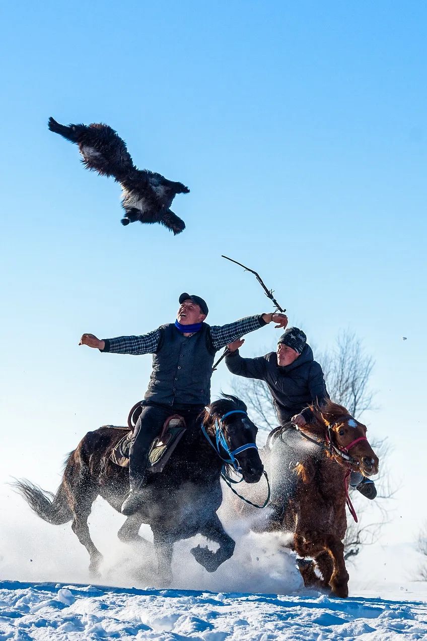 In Northwest China, who is the sheep eating champion? - iNEWS