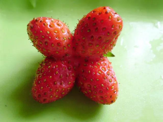 The strange shapes of mutant fruits and vegetables are frightening - iNEWS