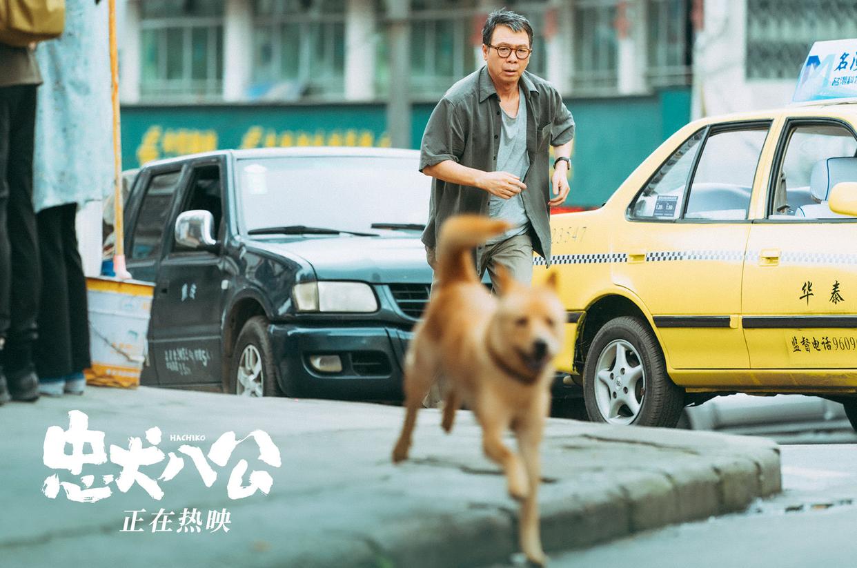 Who are the main actors in the movie "Hachiko"? - iMedia