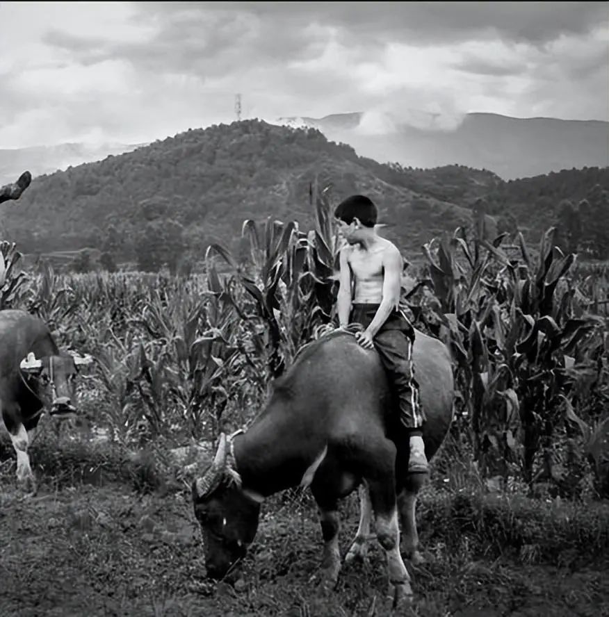 The number one beauty among the leaders' wives, after Zuo Quan died ...