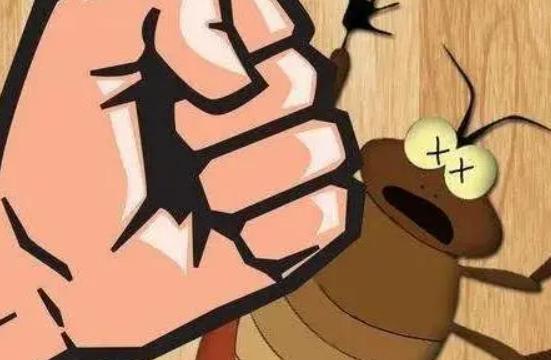 The "cockroach killer" that 90% of people don't know, put it in the ...