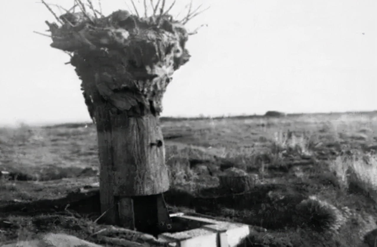 How scared were the soldiers of World War I?Looking at these three ...