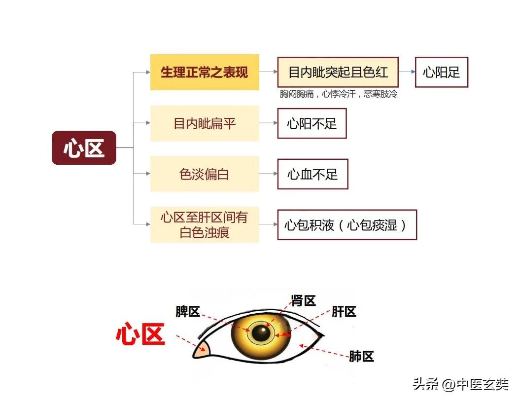 TCM eye-diagnosing heart method - what is known by sight is called God ...