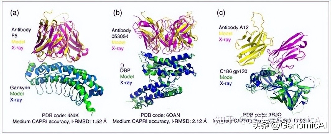AlphaFold is challenging to predict antibody-antigen complexes and has ...