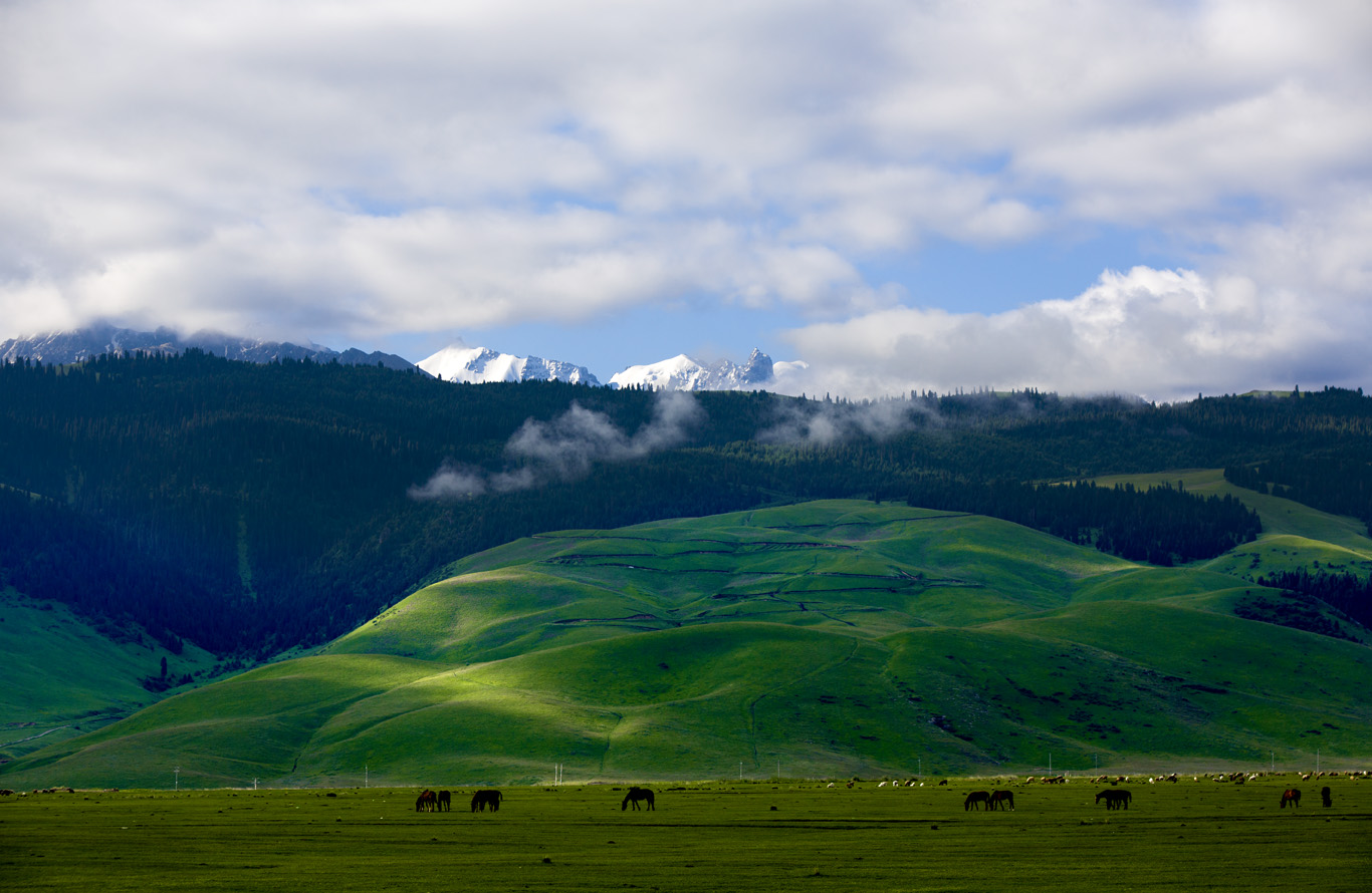 Li Juan: Wealthy Soap - iNEWS