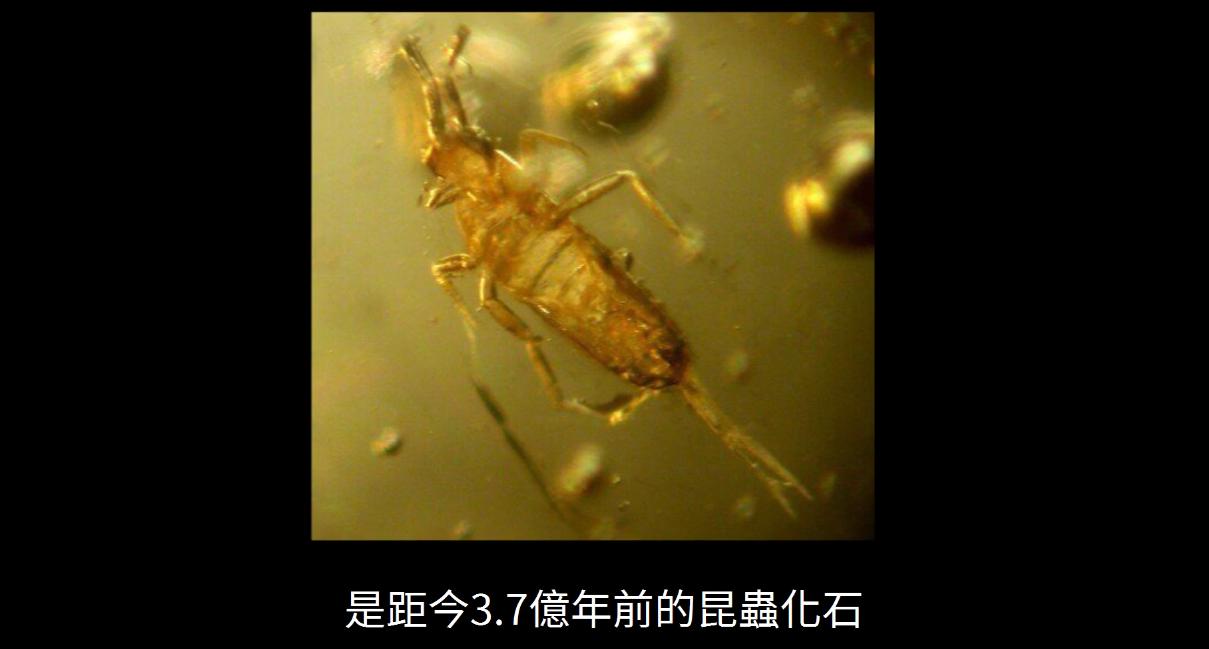 You must have never thought that the most common "alien creature" on ...