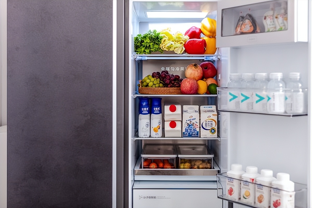 TCL Grid Refrigerator Q10: Flexible "capacity expansion" freezing and ...