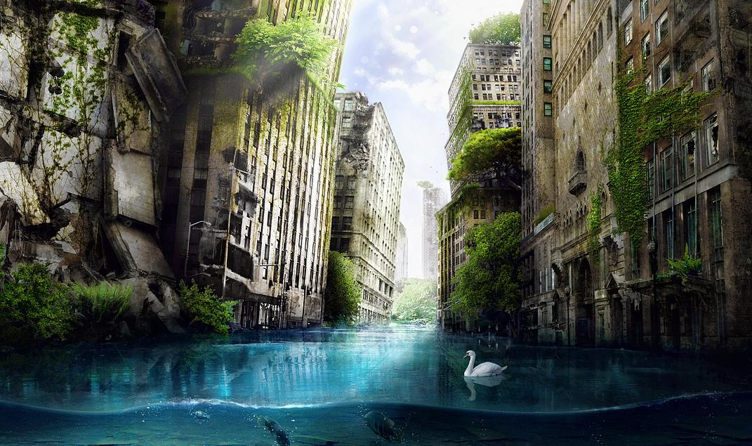 What is the fate of animals, plants and man-made objects 1,000 years ...