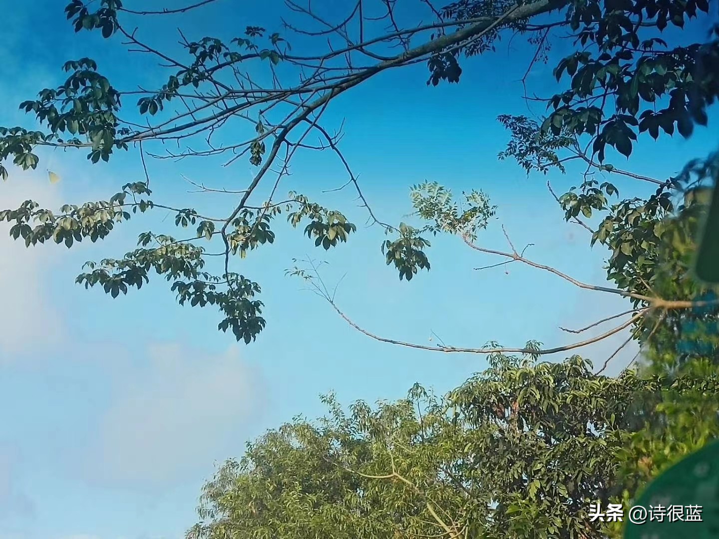 Don't let your mind get flustered - iNEWS