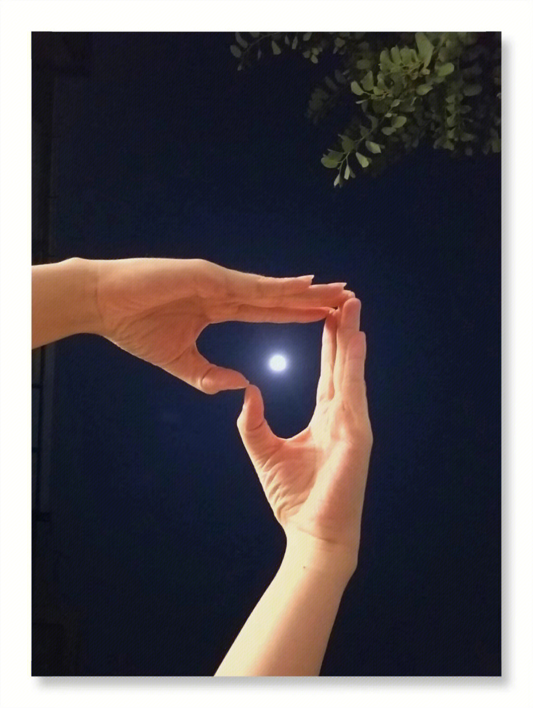 The most beautiful circle of friends on WeChat - iNEWS
