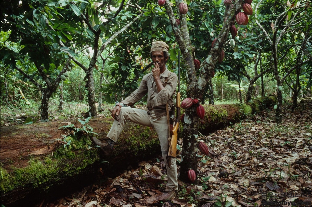"Brazil" In the besieged Amazon rainforest, people take up cameras to ...