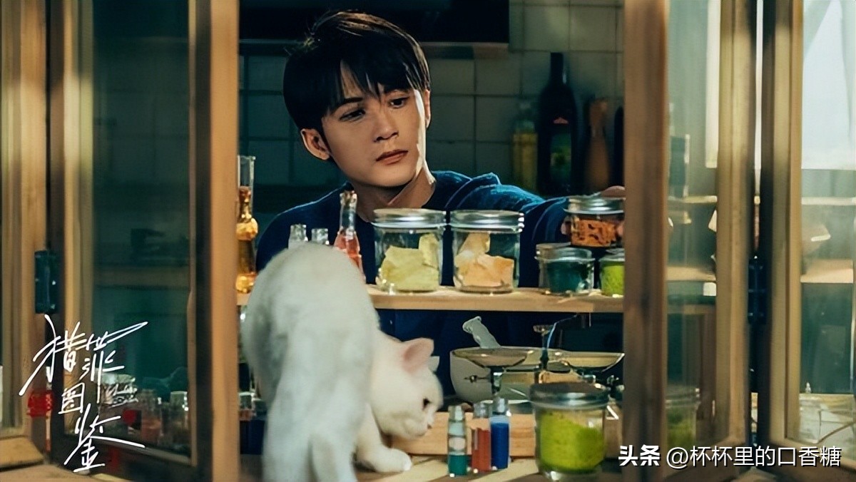 "Sauvignon Blanc" Tan Jianci 9 things! He is a netizen with Yang Zi ...