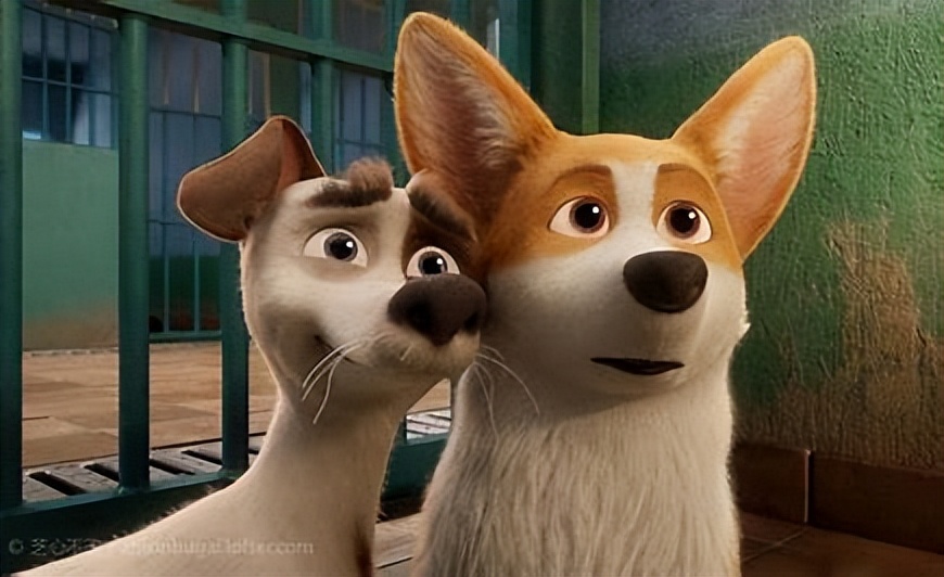 "The Queen's Corgi", Rex, the chief dog full of conscience and justice ...