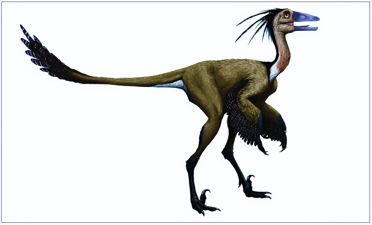 Don't underestimate the hummingbirds running through the flowers, they ...