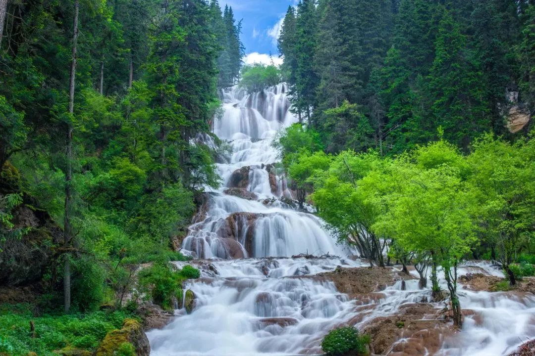 Autumn tiger strikes, enjoy the coolness in Huanglong at 18°C - iNEWS