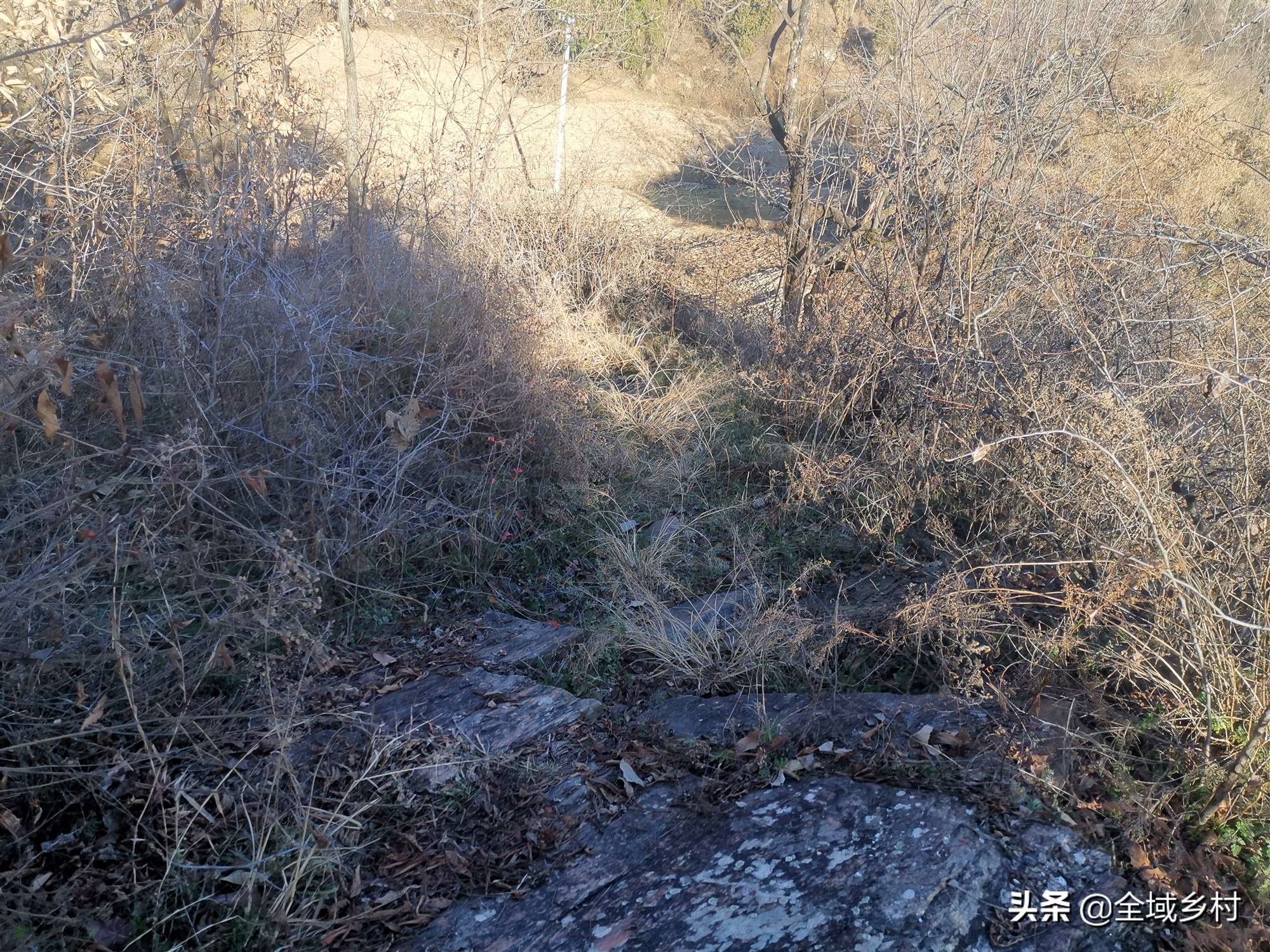 Who is the "Tomb of King Yan" in the deep mountains of western Henan ...