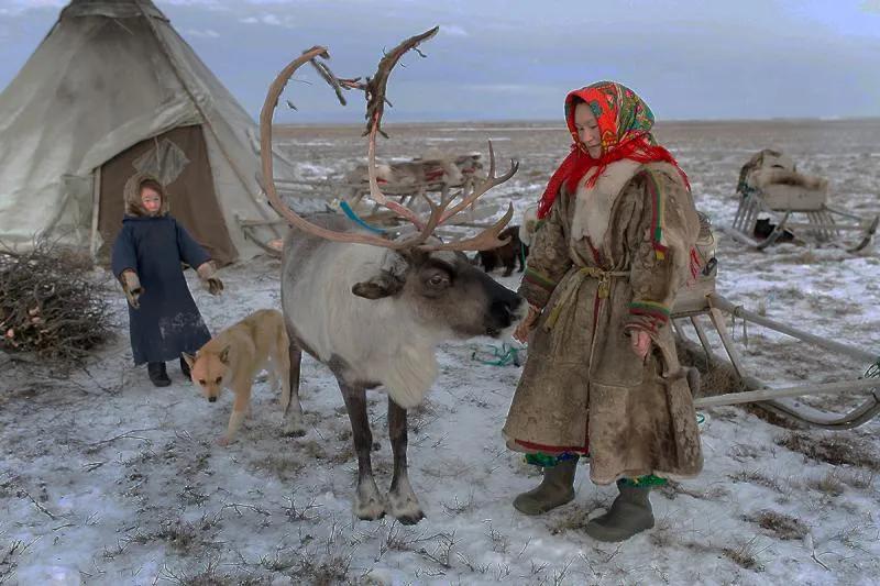 The Nenets living in the Arctic Circle "hibernate" for six months a ...