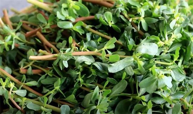 The method of purslane is very delicious. It does not need to be fried ...