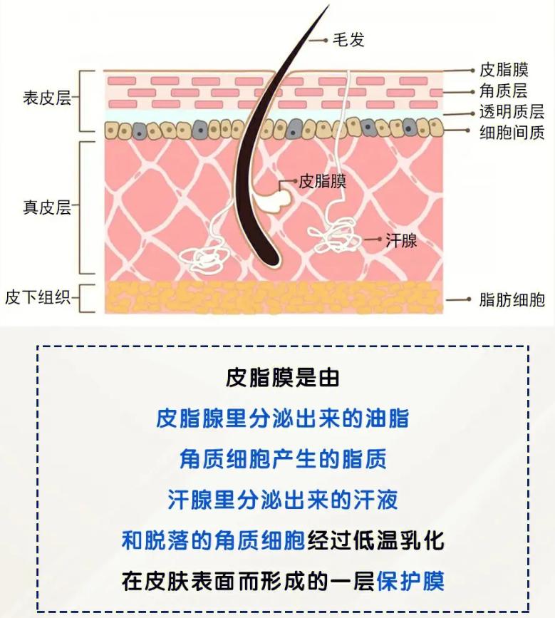 What is the mud from the bath? Surprising under the microscope, no ...