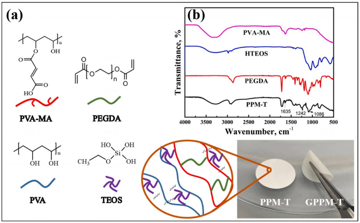 Using TG-FTIR-MS to study the effect of uranium ions on the ...